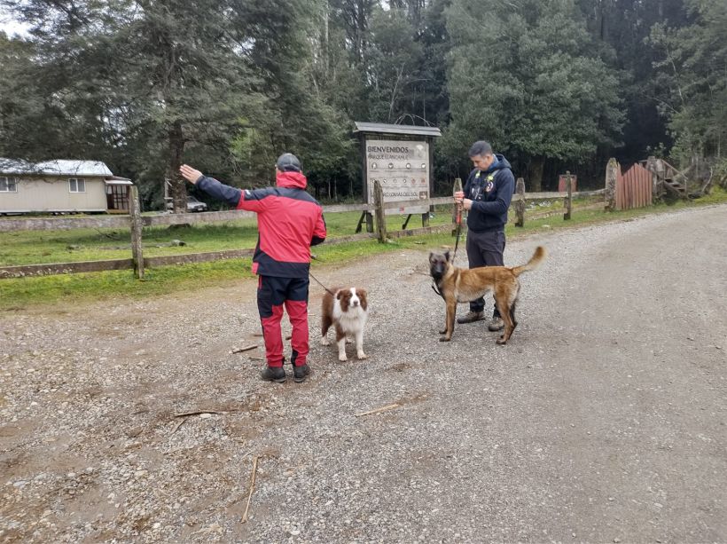 Valdivia: Búsqueda de Roger Lampert se extendió a puente Cau Cau y ...