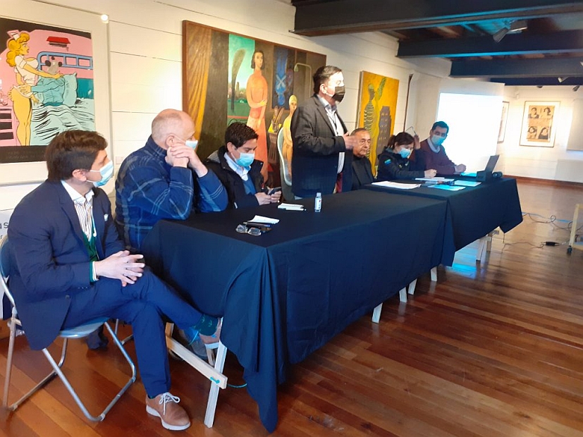 Presentaron estado de avance del Hospital de Puerto Varas ante ...