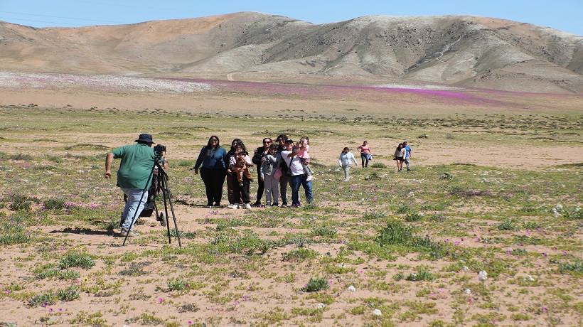 Más de 95 mil personas visitaron el Desierto Florido en septiembre en ...