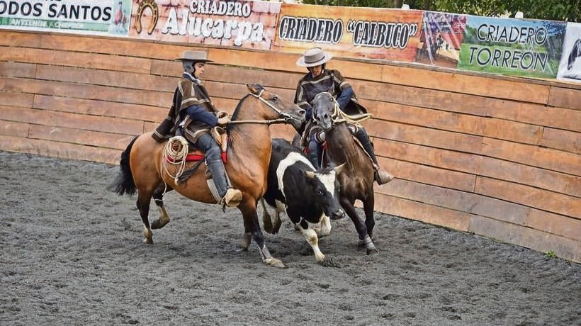 [Fotos]: Serie de Campeones culmina en la medialuna de Lanco