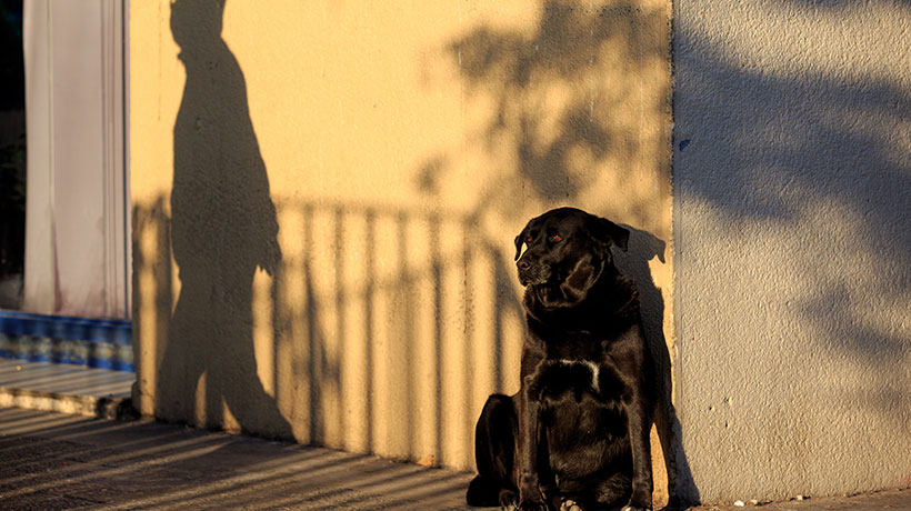 Concurren a Contraloría por abandono de deberes del municipio de ...