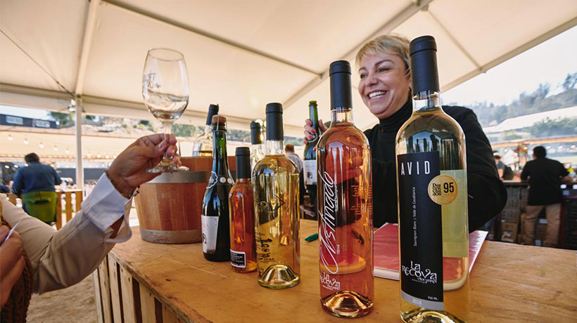 “Sabores y Vinos”: Casablanca tendrá una fiesta para los amantes del licor